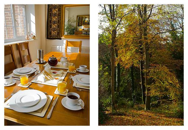 Woodland Views - Dorset