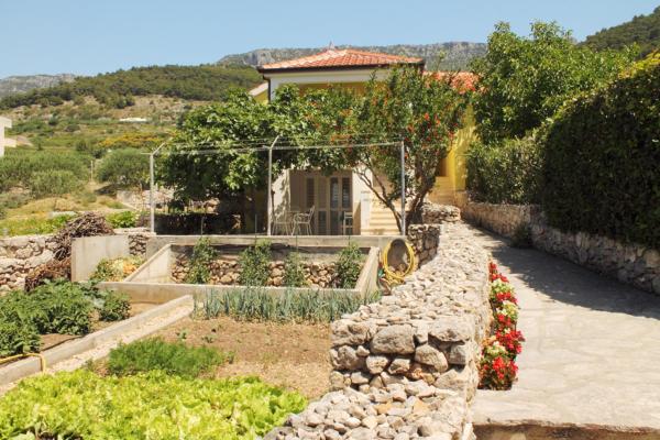 Apartments Nejašmić - Little House For Peaceful And Domestic Vacation - Bol