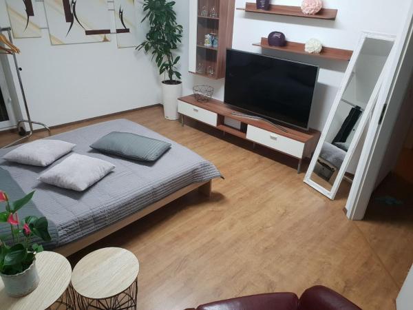 Gemütliches Zimmer Mit Eigenem Bad/wc/küche - Kassel