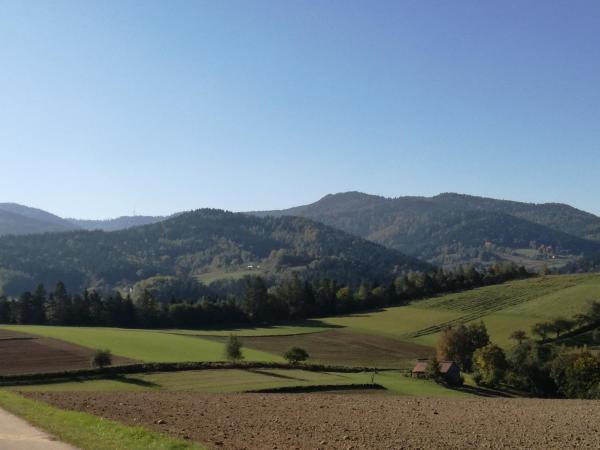 "Ryvilla" Dom Na Wilkówce