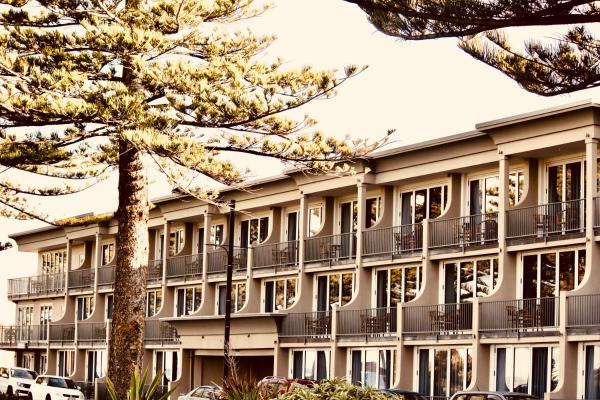 The Nautilus - Napier