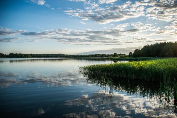 Zielna Farma - Mazury