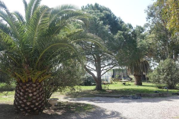 Mas Du Roc - Saint-Cyprien
