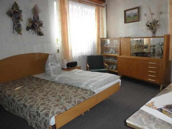 Pension U Kaktusu - Karlovy Vary