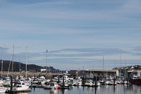 Viveiro - Viveiro