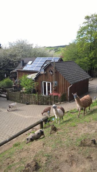 Funny-farm - Rijnland-Palts