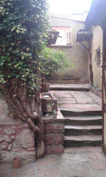 Les Apparts Du Gewur'z - Bergheim, France