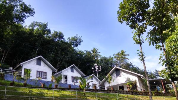 Mistywindvalley - Kerala