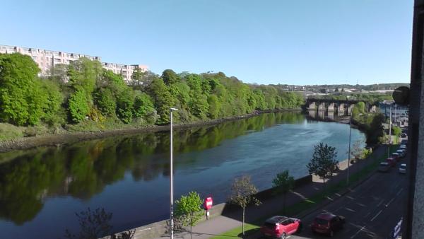 Mycosy On The River - Aberdeen