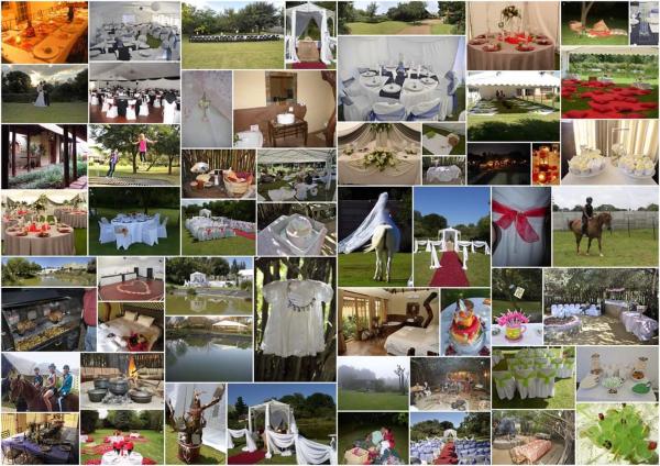 African Silhouette Guesthouse - Benoni