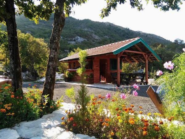 Camp Oaza,lipa - Montenegro