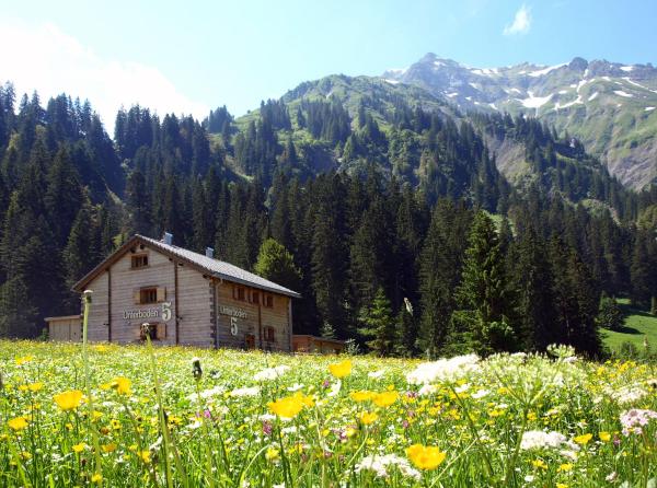 Vital Chalets - Vorarlberg