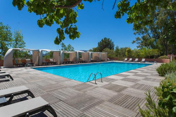 Royal Palm - Porto-Vecchio