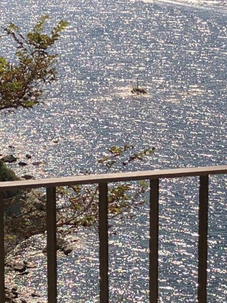 Cala San Francesco B&b - Agropoli