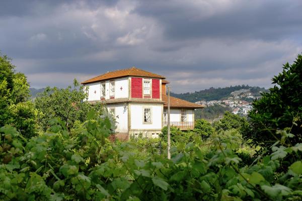 Quinta Da Chentuada - Amarante
