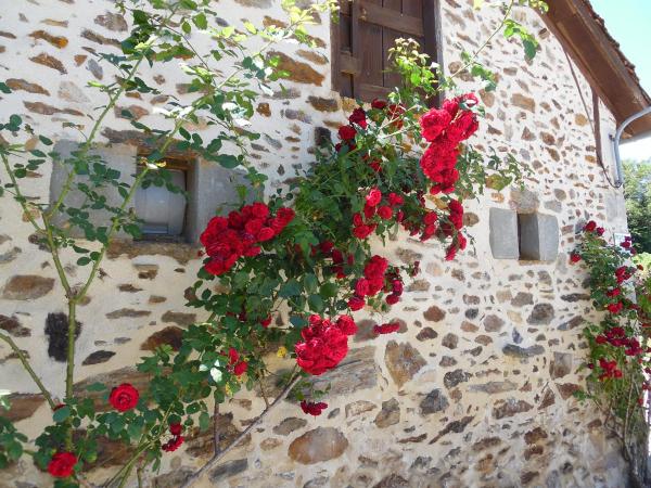 Maison D'hotes Le Ranfort - Lac du Tolerme
