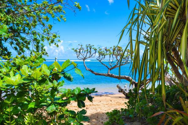 Anini Ohana Estate Tvnc#4255 - Kauai, HI