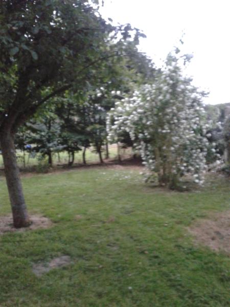 La Petite Chartreuse - Somme