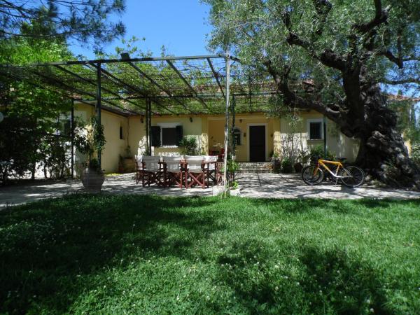 Theni Olive Grove Villa - Zakynthos