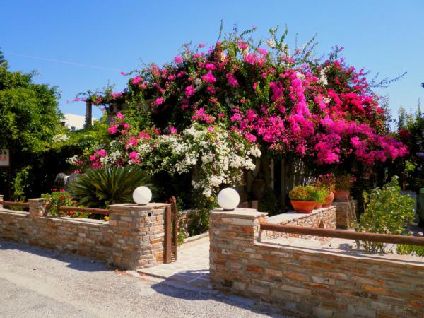 Dimitra Studios - Naxos