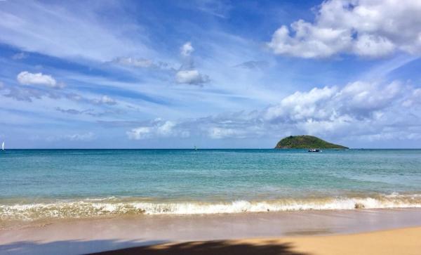 Chez Momo Et Dany - Deshaies