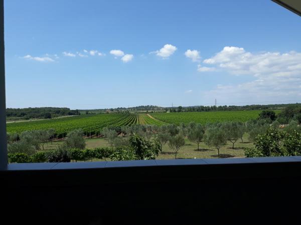 Apartma Solmar - Medulin