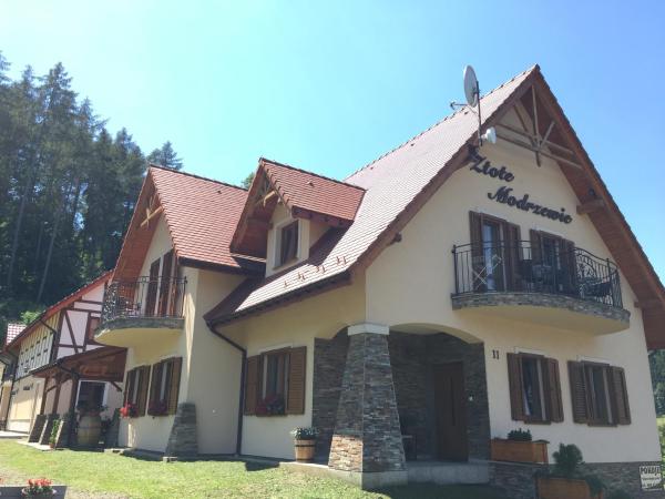 Zlote Modrzewie - Duszniki-Zdrój