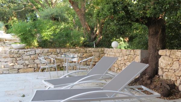 Le Castellas Du Pic St Loup - Claret