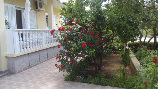 Apartments Branko Zadar - Zara