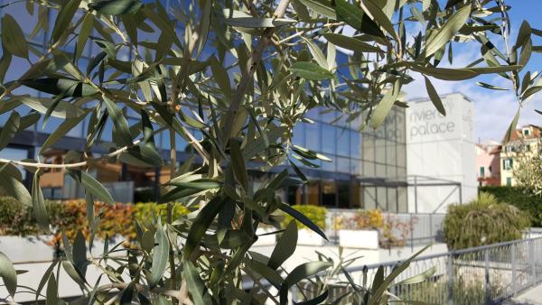 Riviera Palace Residence - Finale Ligure
