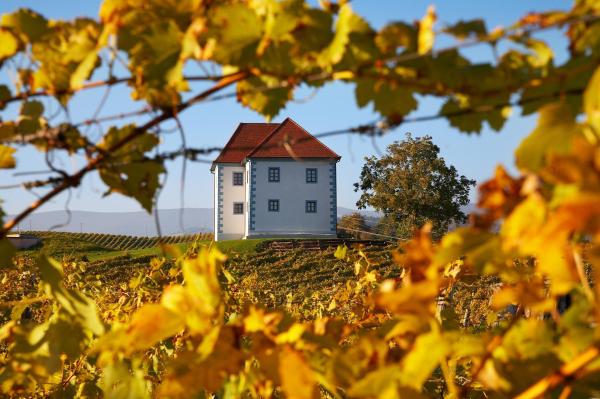 Wine Grower's Mansion Zlati Gric - Slovénie