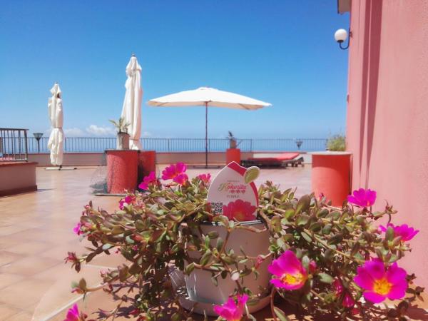 Agriturismo Agri Armonia - Calabria