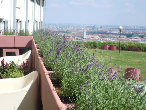 Palace Hostel Vienna - Wien