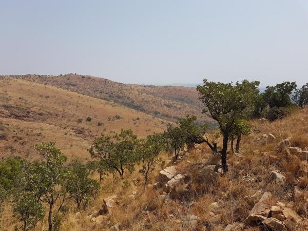 Montanique Lodge - Mooinooi