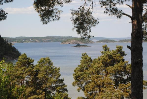 Anfasteröd Gårdsvik - ÖRnnästet - Ljungskile