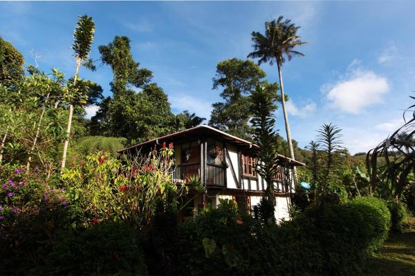 Claro De Luna - Quindío