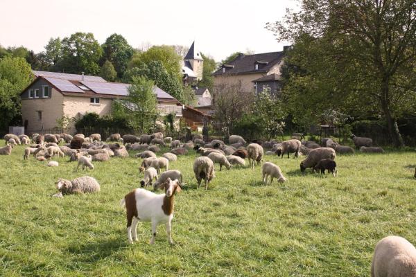 Urlaub Im Kunstatelier - Bad Camberg