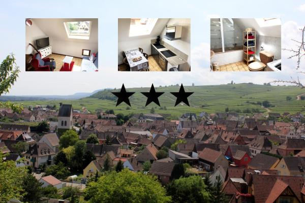 Gite Des 5 Cigognes Rouge - Alsace