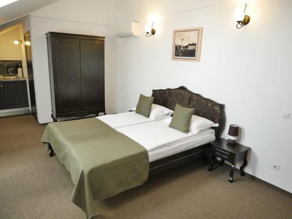 Sibiu City Center Apartments - Sibiu