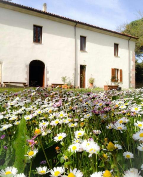 Hotel Locanda Minerva - Romana