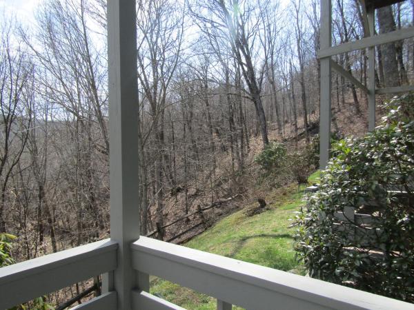 High Ceiling Skyleaf A9 Condo - Roan Mountain, TN