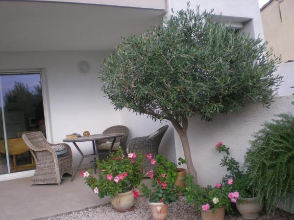 La Scribote - Marseillan