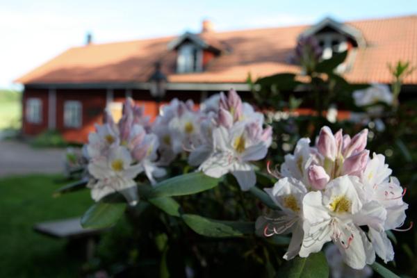 Klefstad Gård - Suède