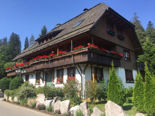 Hollhouse - Bed & Breakfast - Titisee-Neustadt