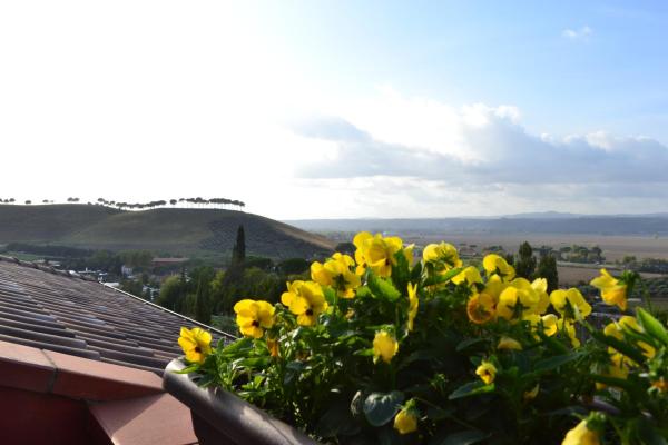 Sunnyhill Home - Monterotondo
