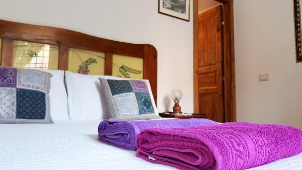 Il Giardino Al Pigneto - Ciampino