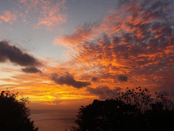 Gîte 1001 Nuits - Aladin - Guadeloupe
