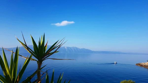 Apartment Franic - Drvenik