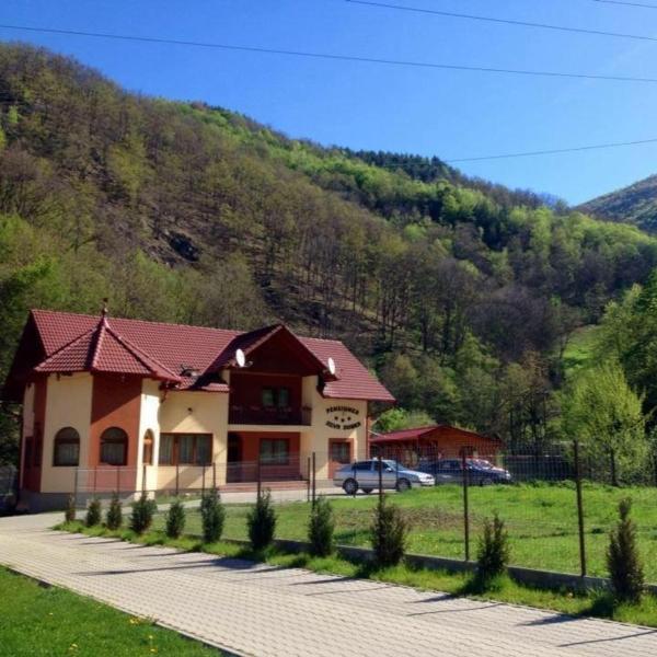 Pensiunea Silva Dobra - Jina