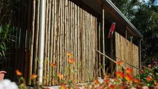 Chalés Na Mata Ubatuba - Ubatuba